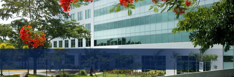 Manhattan International « Manhattan Construction Group